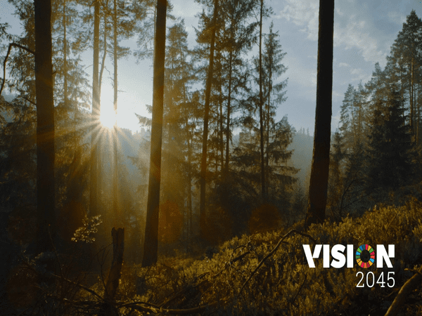 Graphic Packaging International Commitment to Sustainability Showcased ...